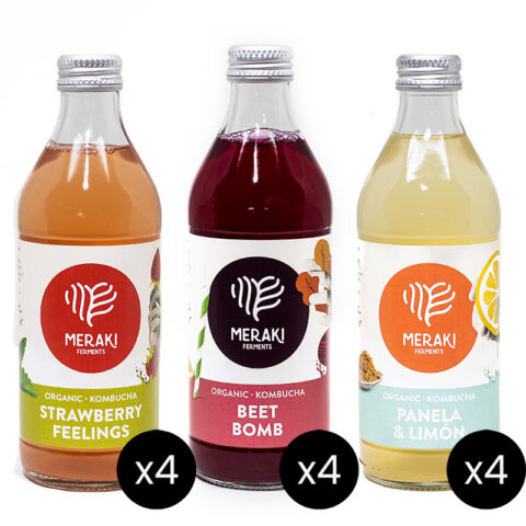 Compra Kombucha y vegetales fermentados, potencial probiótico - Meraki ...